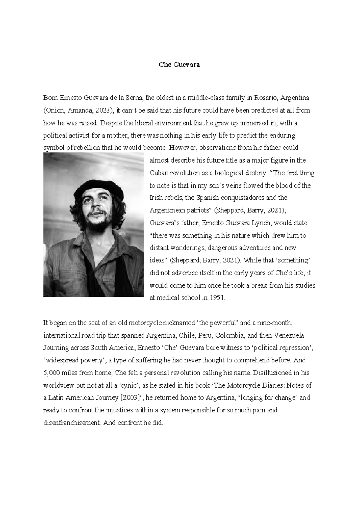 Politics Profile: Che Guevara (HIST 2023) - A Revolutionary's Journey ...