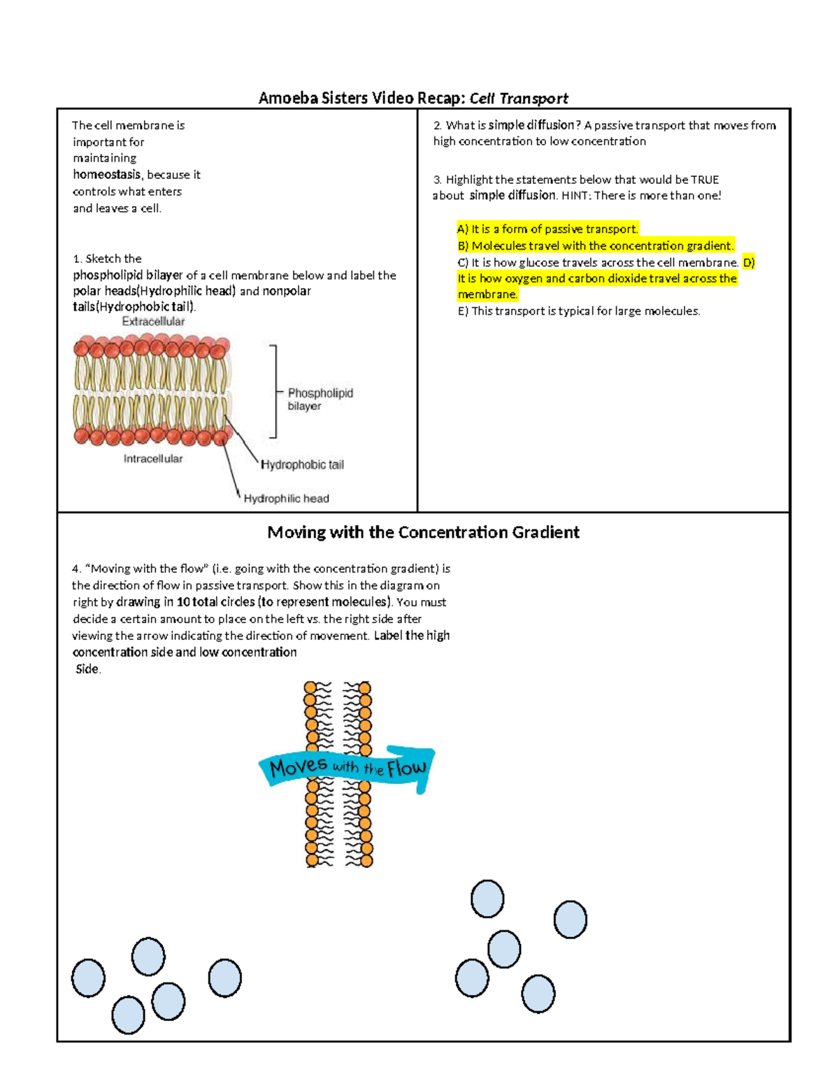 Amoeba Sisters Video Recap: Cell Transport Concepts and Mechanisms ...