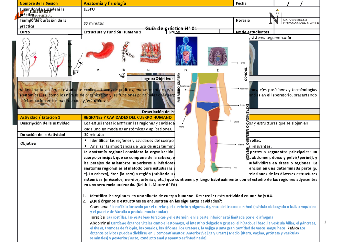 Estructura y función humana - 1-1 - 1 © 2019 Laureate International ...