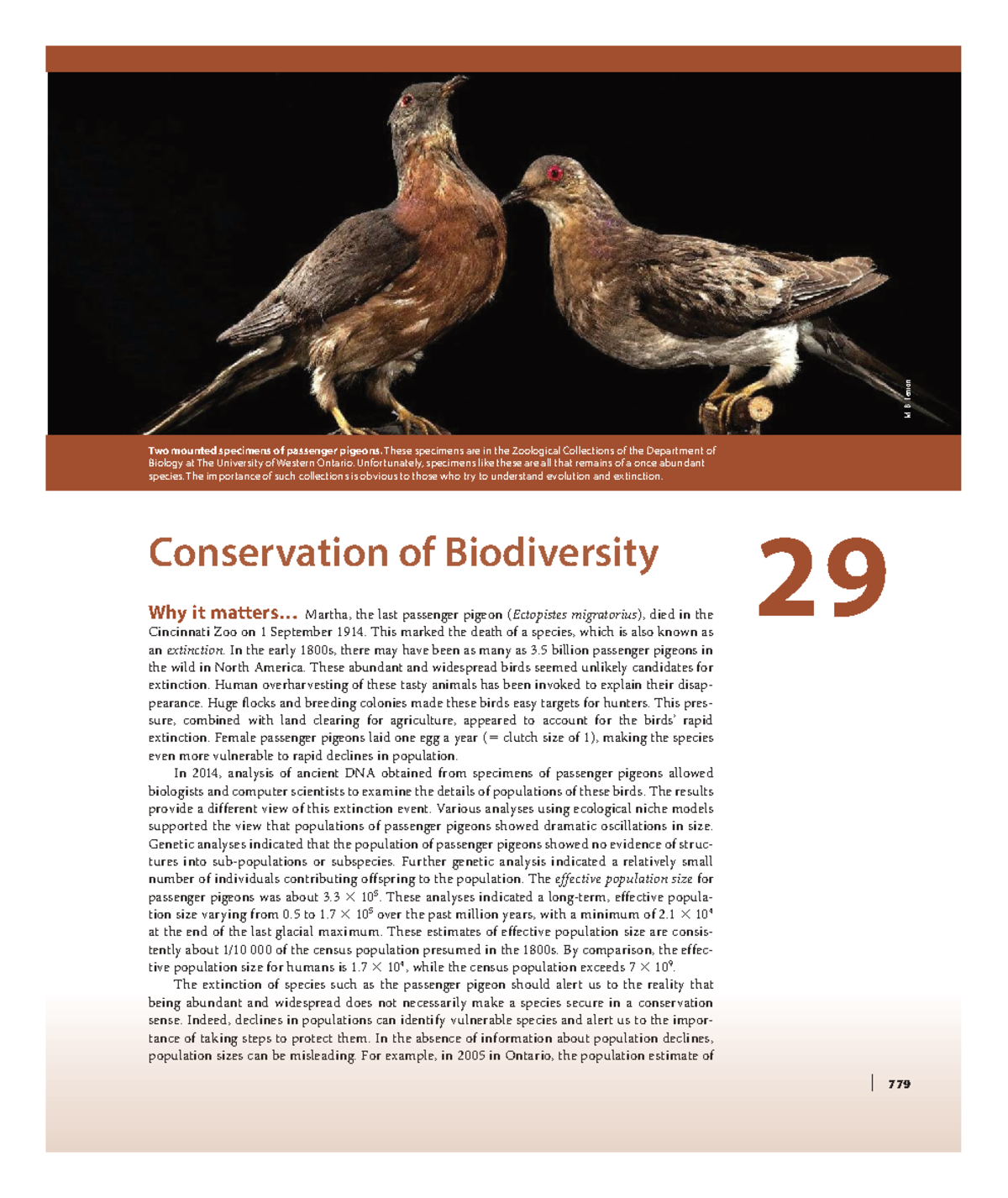 Conservation of Biodiversity: Understanding Extinction - Studocu