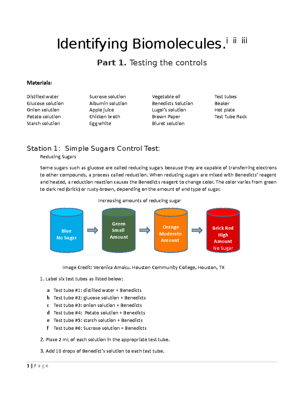 BIOL 100: Identifying Biomolecules Lab Activity Guide - Studocu