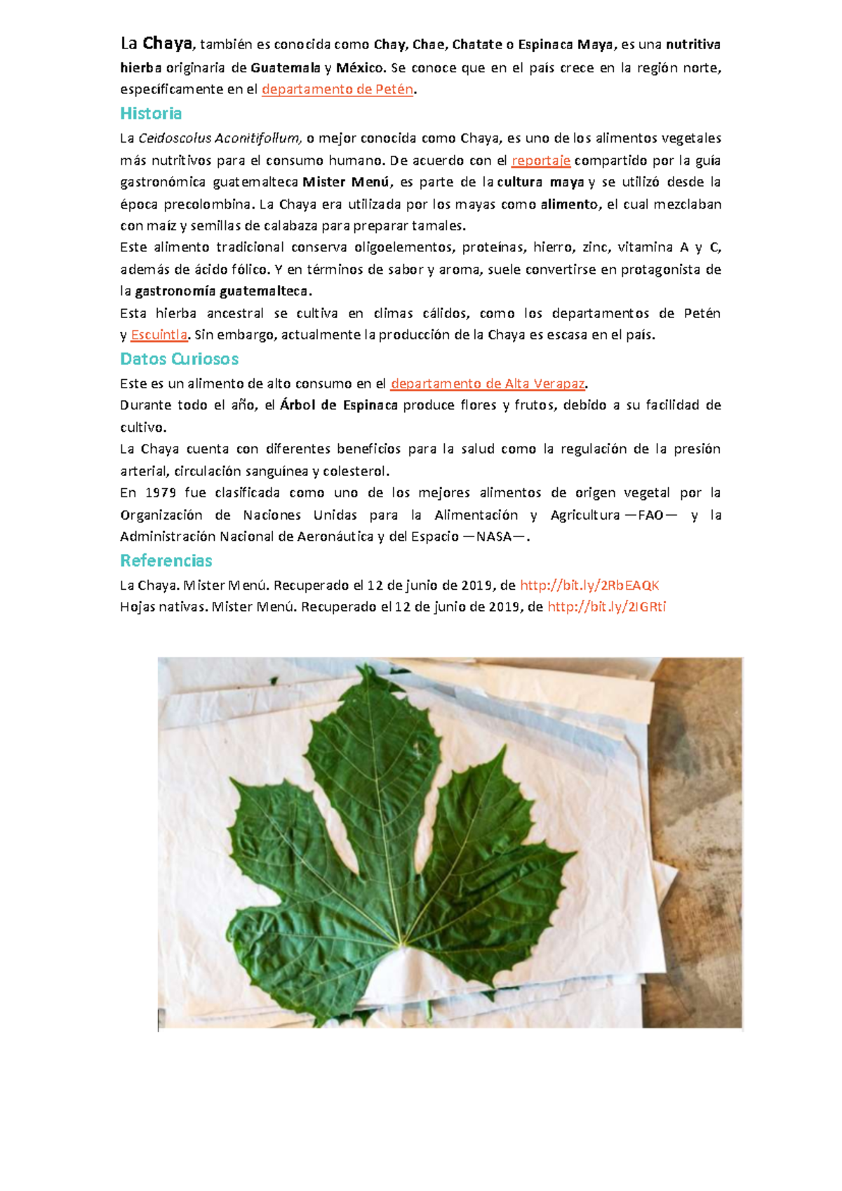 LA Chaya: Beneficios y Tradición de una Planta Nutritiva en Guatemala ...