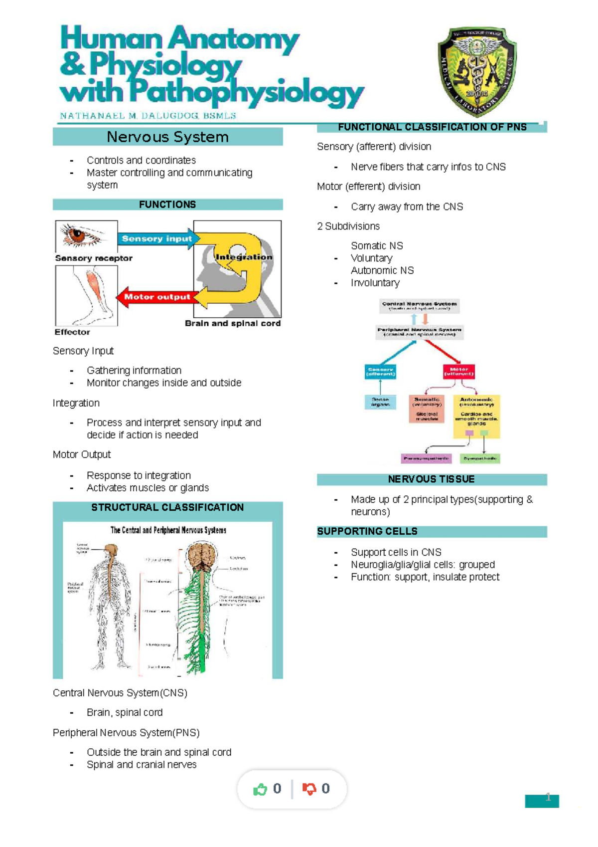 Anatomy-and-physiology-with-pathophysiology-nervous-system-notes ...