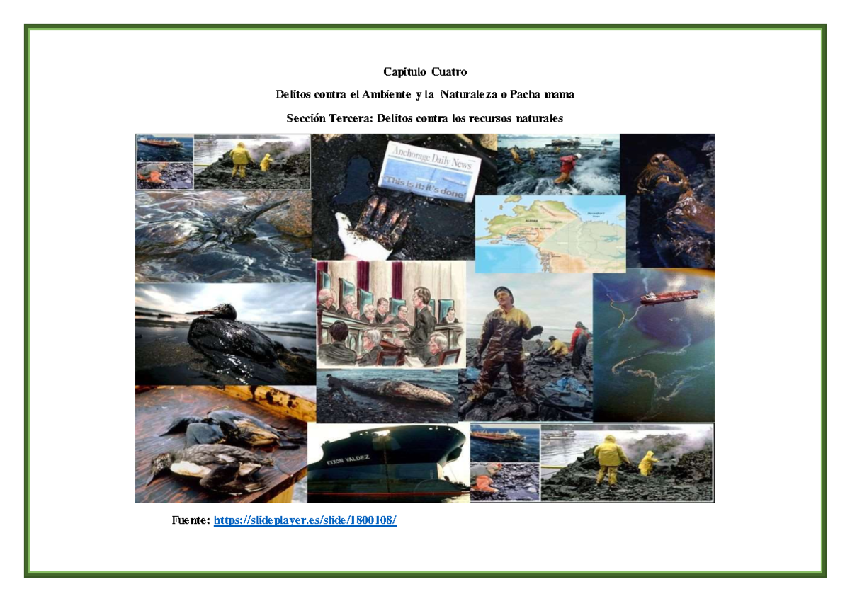 Capítulo 4: Delitos Ambientales y Recursos Naturales en Ecuador - Studocu