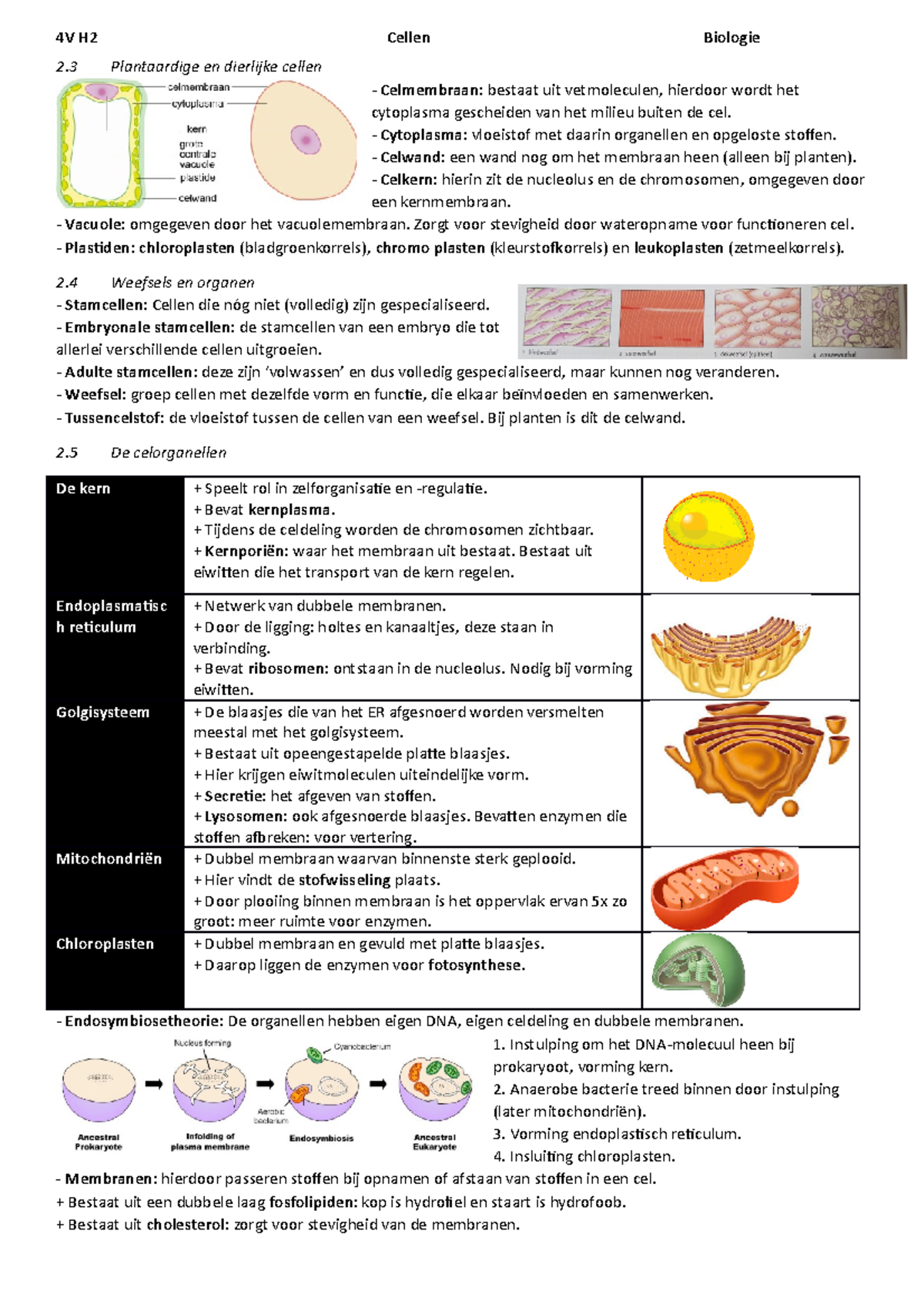 Biologie 4VWO H2 - Cellen: Structuur en Functie van Cellules - Studeersnel