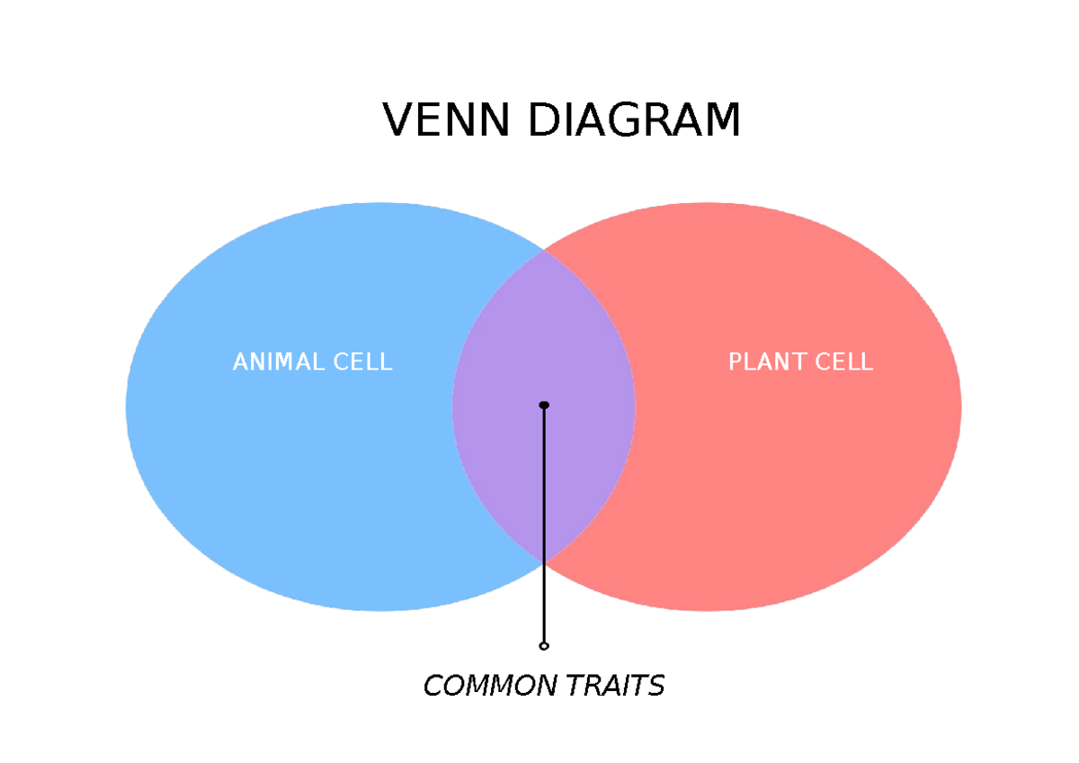 VENN DIAGRAM: Animal & Plant Cell Traits - Frayer Model & Flow Chart ...