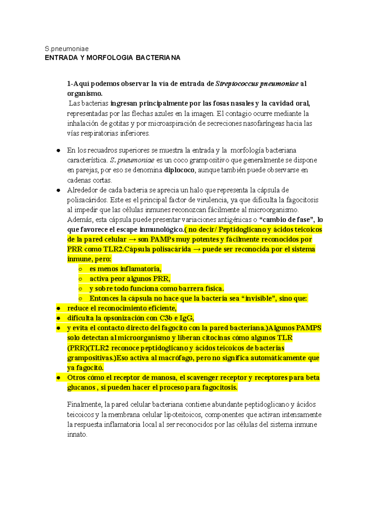 Inflamación y Patogenicidad de Streptococcus pneumoniae - Examen ORAL ...