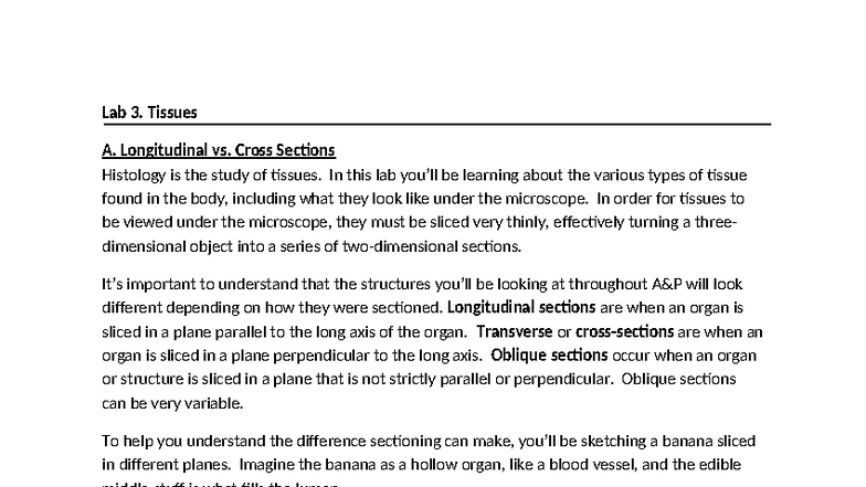 Lab 3: Tissues - Longitudinal vs. Cross Sections in Histology - Studocu