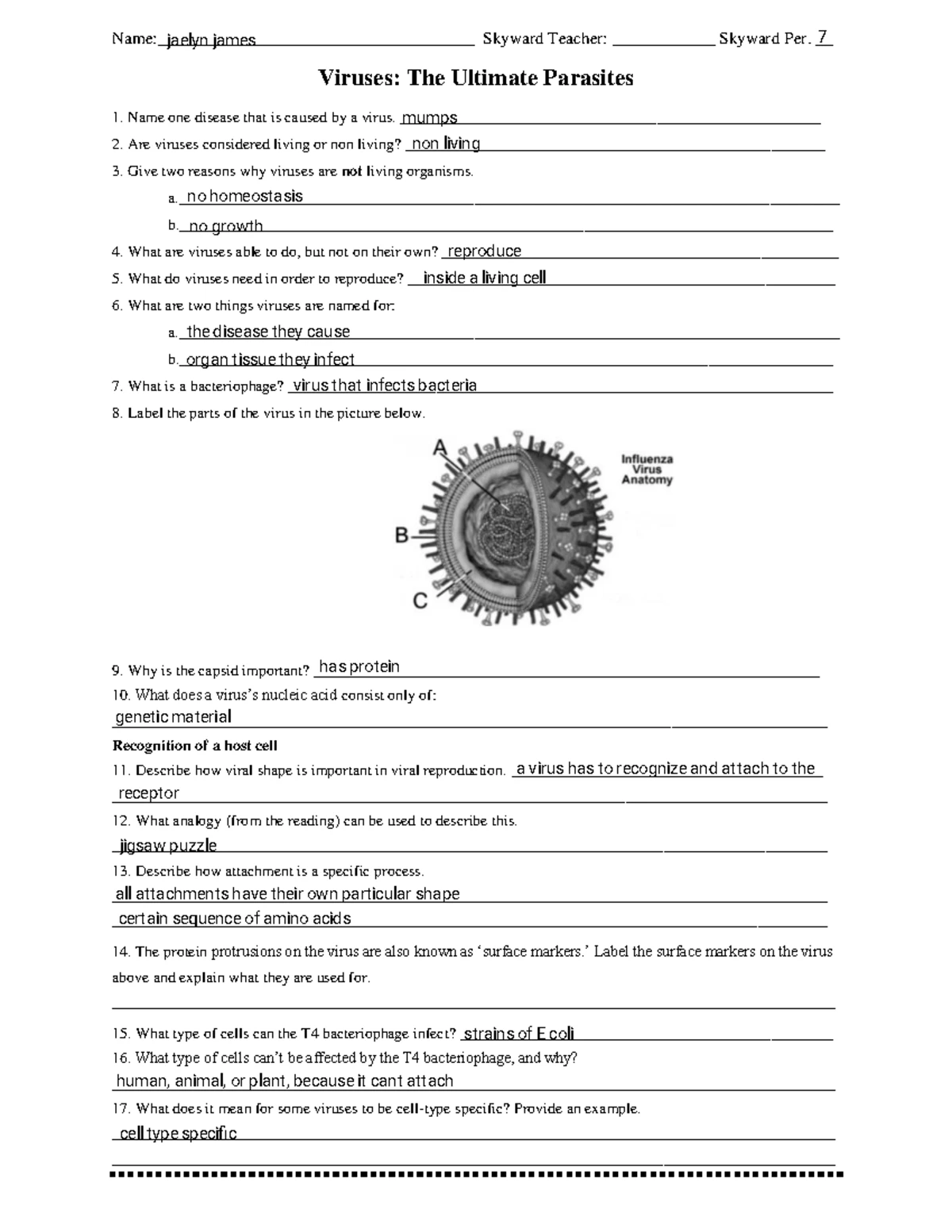 Viruses: The Ultimate Parasites - Questions for Jaelyn James Analysis ...