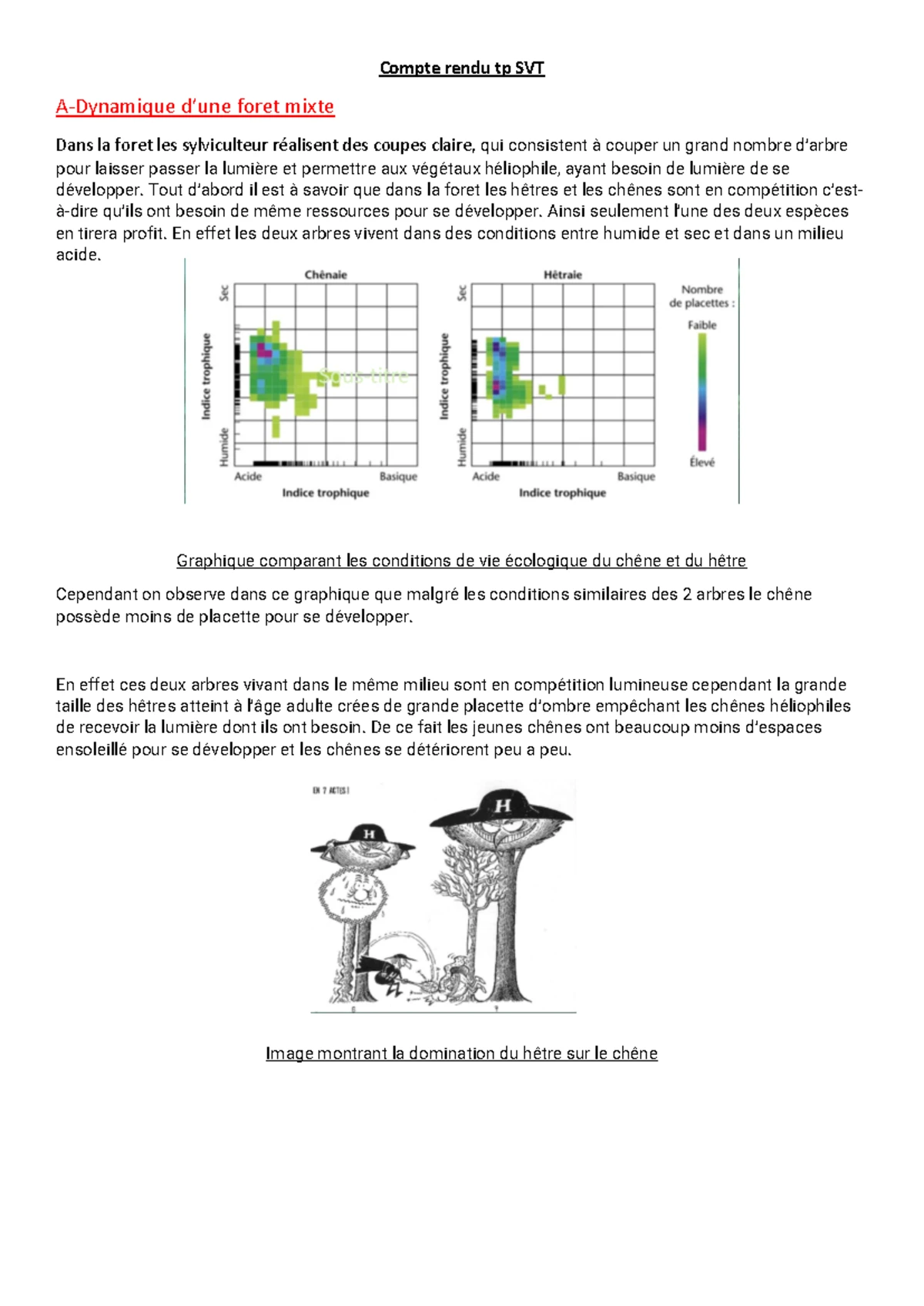 Fiche 13 : Méthodes d'Observation au Microscope - SVT Lycée Camille ...
