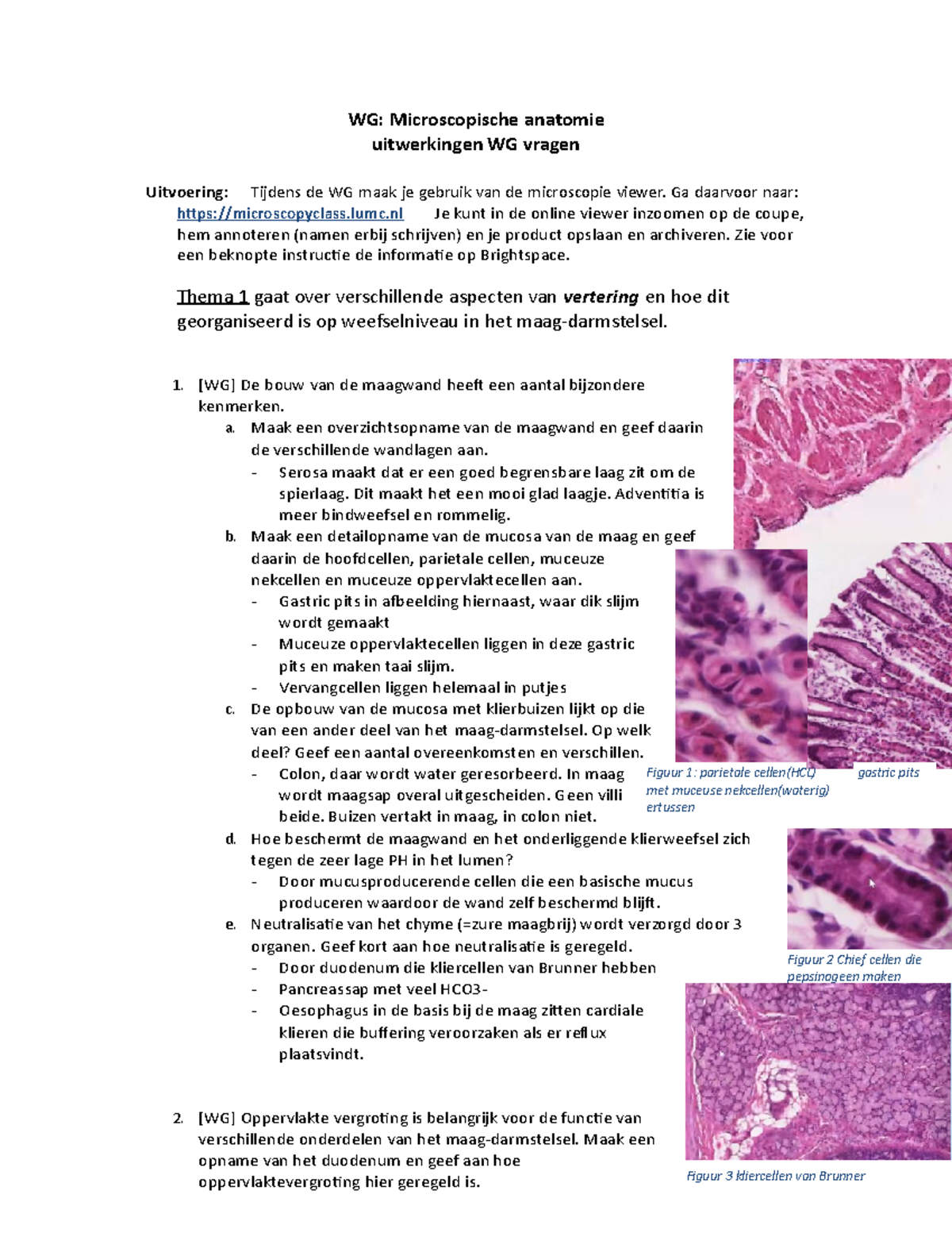 Uitwerkingen WG Microscopie: Anatomie van Maag-Darmstelsel en Klieren ...