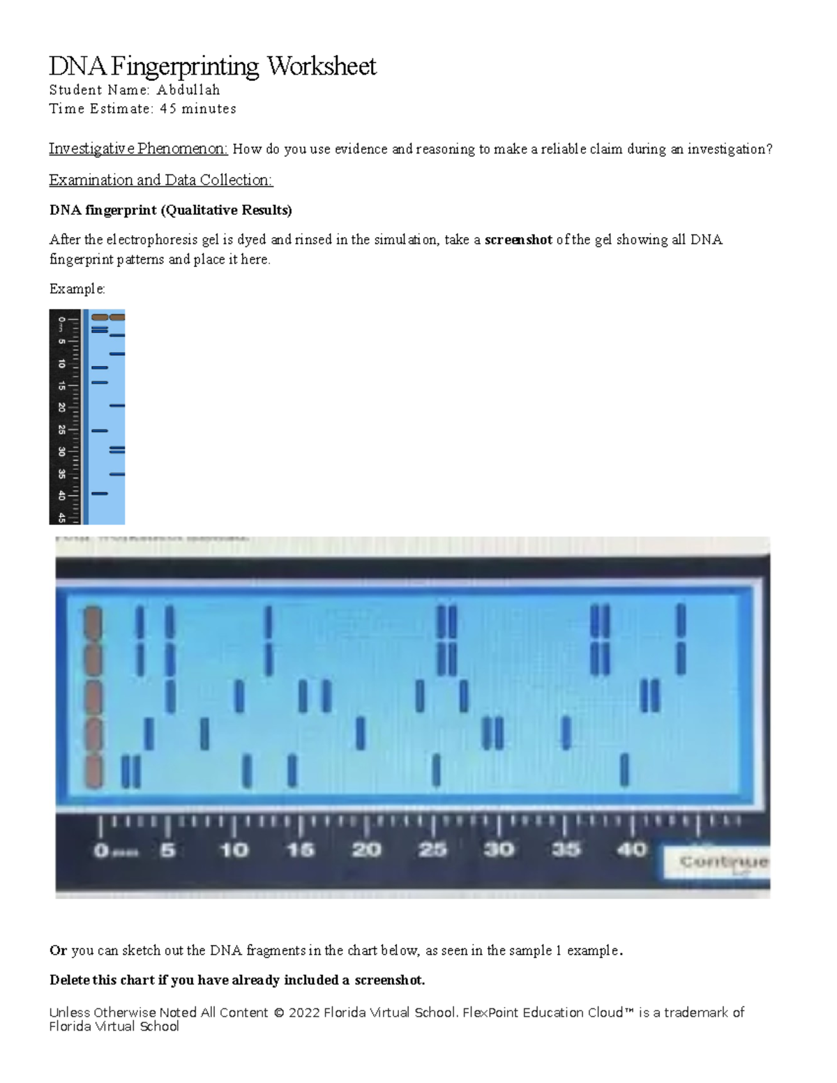 Dna Fingerprinting Forensics Worksheet