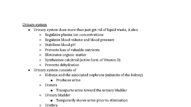 Anatomy and Functions of the Urinary System (BIO 101) - Studocu