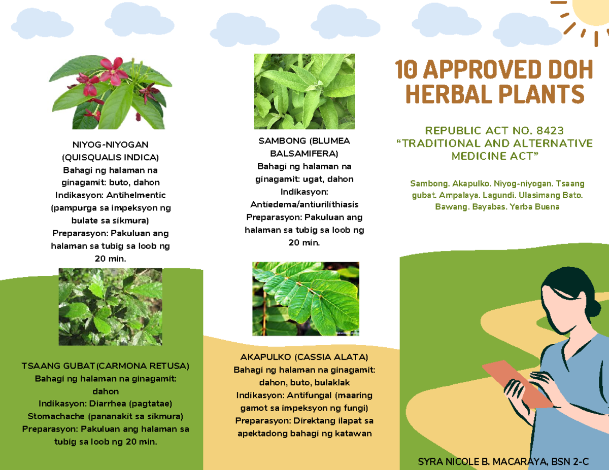Herbal Plants: DOH Approved Remedies & Preparations (BSN 2-C) - Studocu