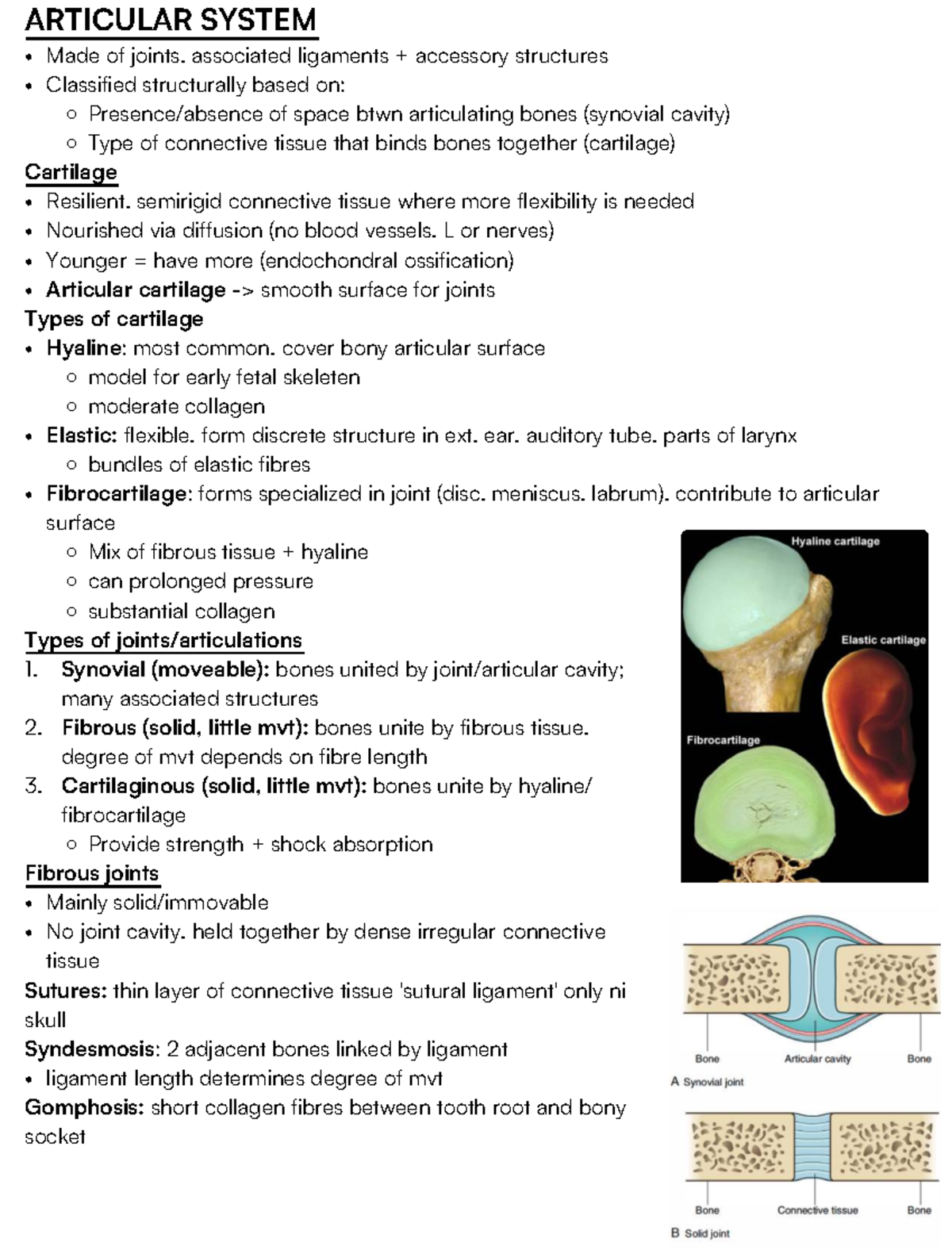Articular System & Joints Overview - ANAT20006 - Studocu