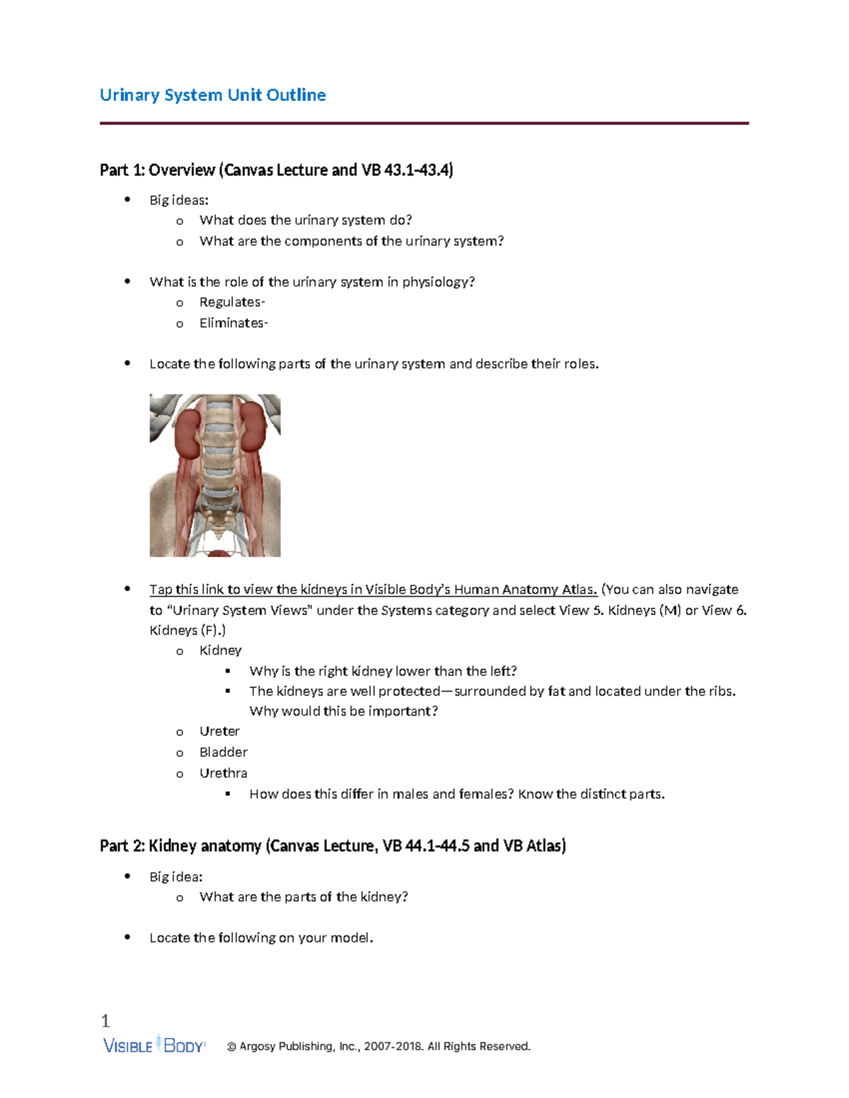 Urinary System Unit Outline - 1-43) Big ideas: o What does the urinary ...