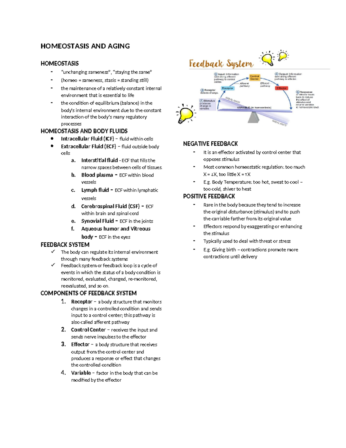 (W2) Homeostasis and Aging: Understanding Internal Balance Mechanisms ...