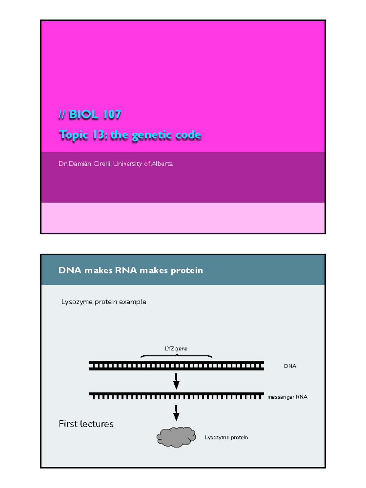 BIOL 107 Lecture 13: Understanding the Genetic Code - Studocu