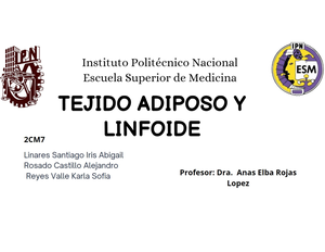 Tejido muscular - Tejido conectivo denso irregular Núcleos Endomisio ...