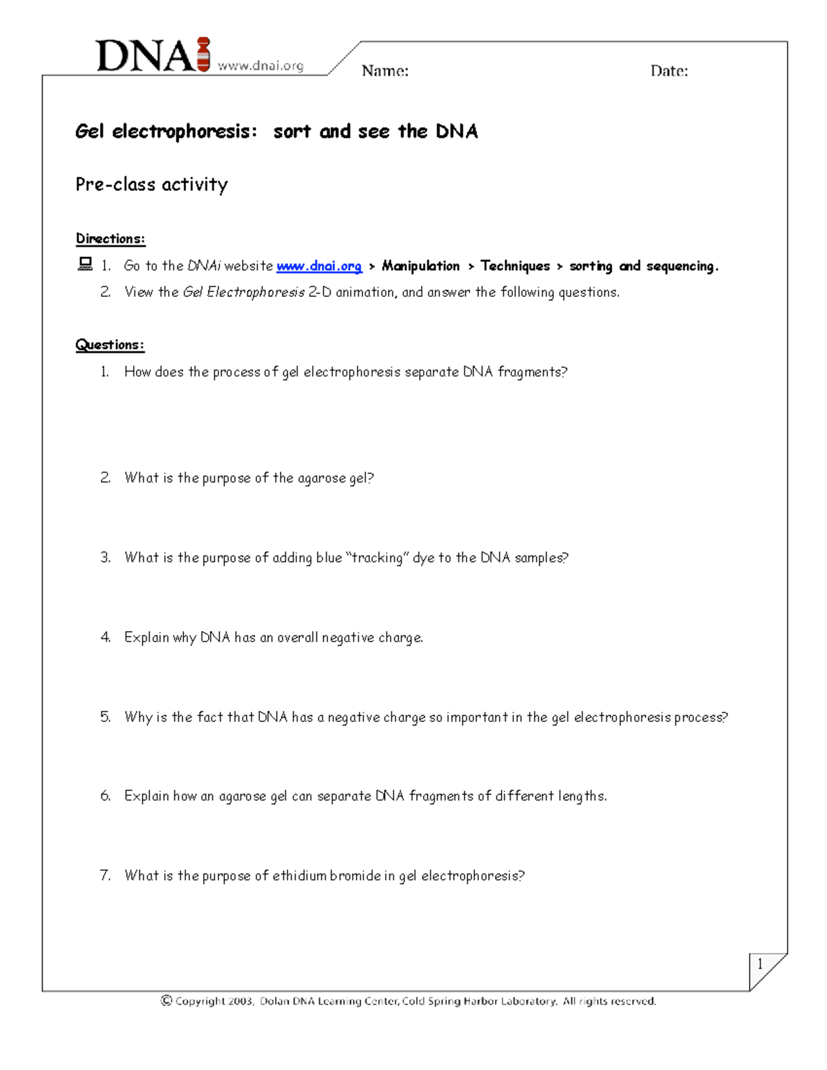 Copy of Gel Electrophoresis Activity - Gel electrophoresis: sort and ...