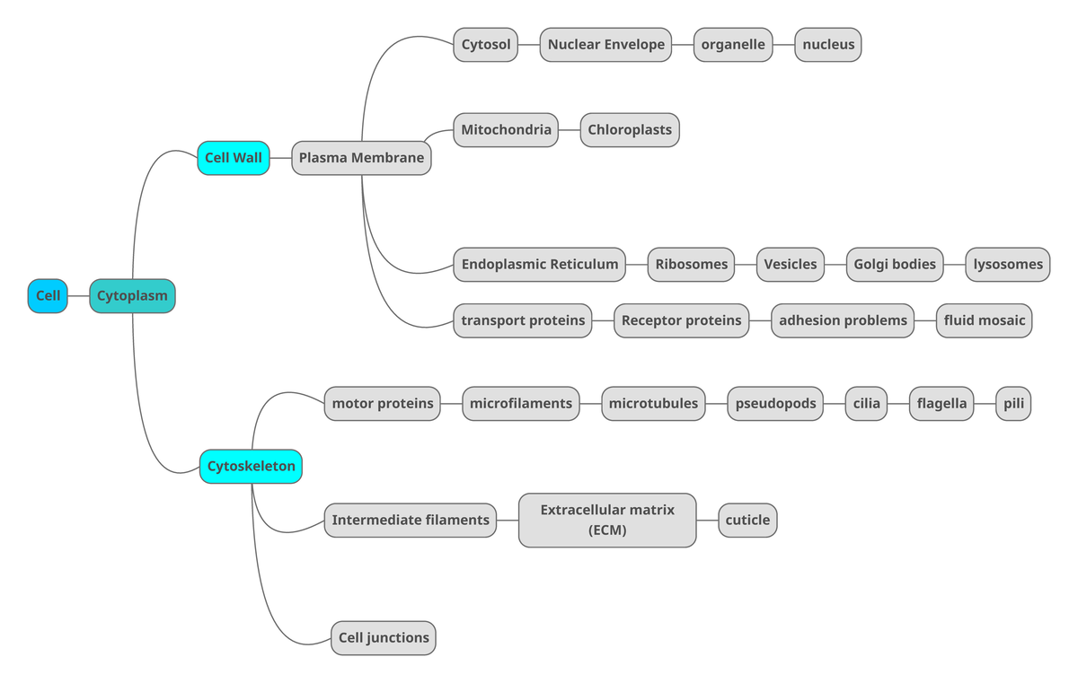Concept map Module 2 - classwork - bio102 - Cell Cell Wall Plasma Membrane Cytosol Nuclear ...