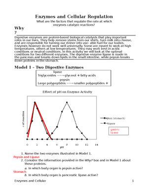 Chapter 3 Study Guide: Cells, Membranes, and Homeostasis (Bio 101 ...