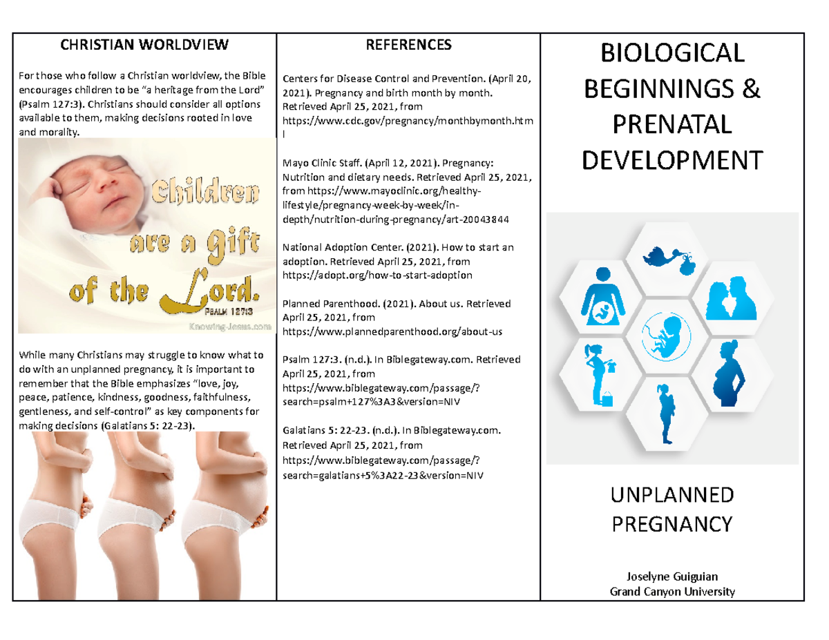 Biological Beginnings and Prenatal Development - CHRISTIAN WORLDVIEW ...