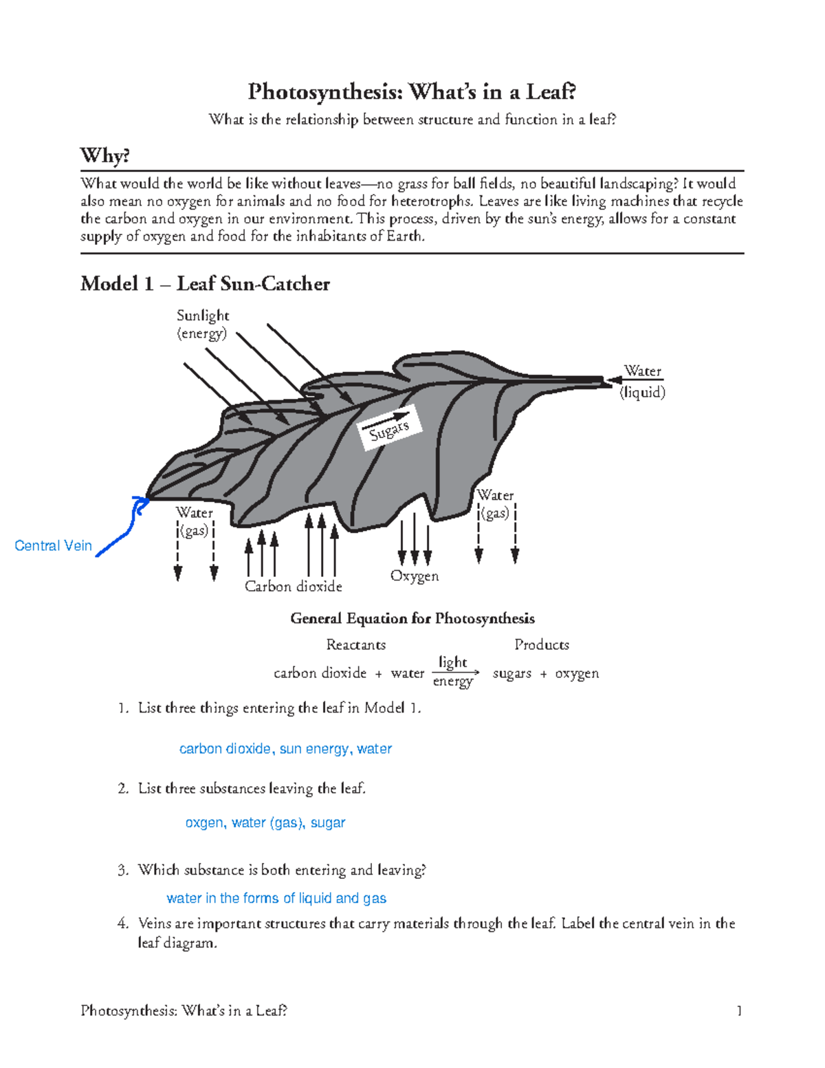 Photosynthesis: What's in a Leaf? POGIL Activities Overview - Studocu