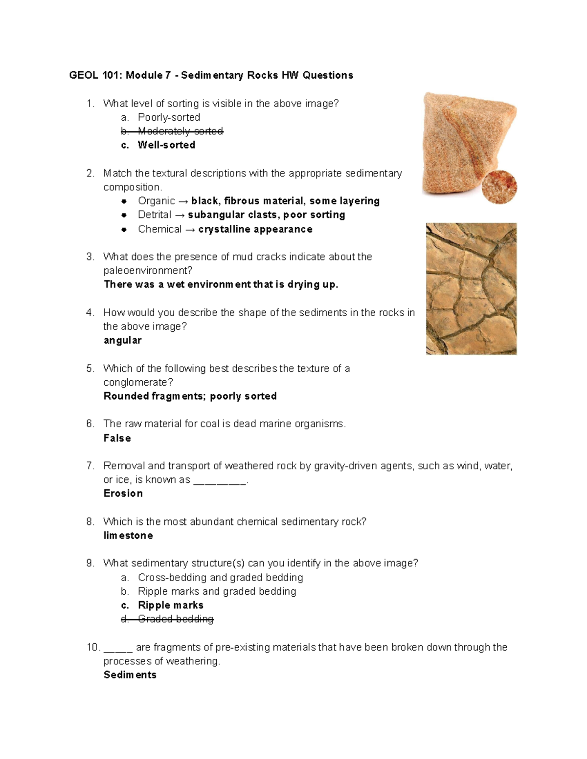 GEOL 101 Module 7 - Sedimentary Rocks: Homework Questions & Answers ...