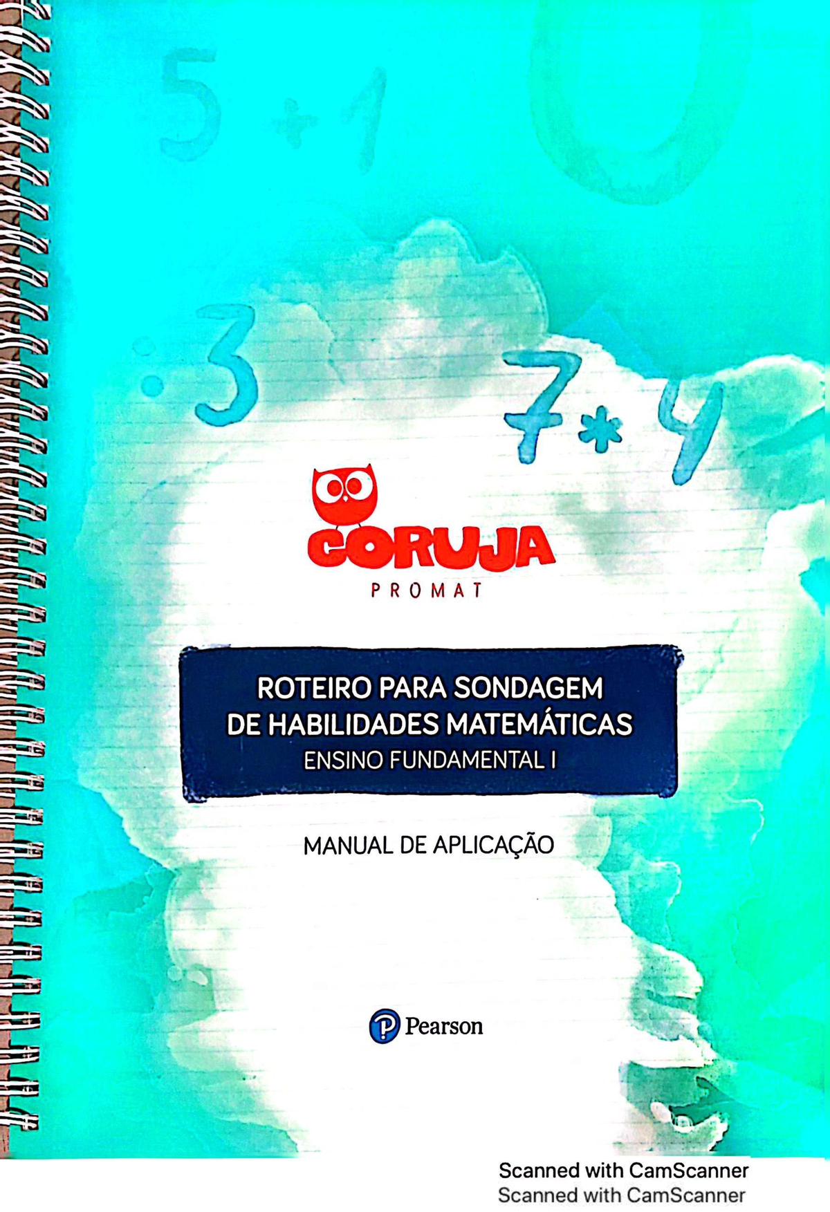 CORUJA PROMAT: Roteiro para Sondagem de Habilidades Matemáticas - Studocu