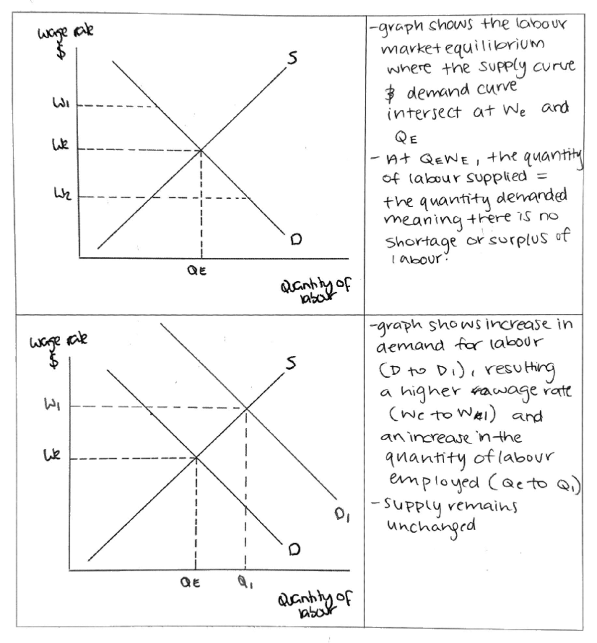 Labour Market Equilibrium Analysis: Supply & Demand Curves (ECO 101 ...