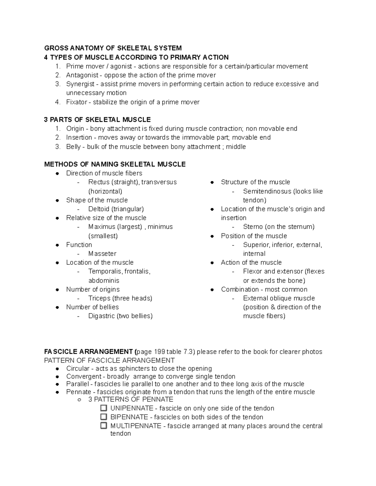 Muscular Anatomy 1: Gross Anatomy of Skeletal System and Muscle Types ...
