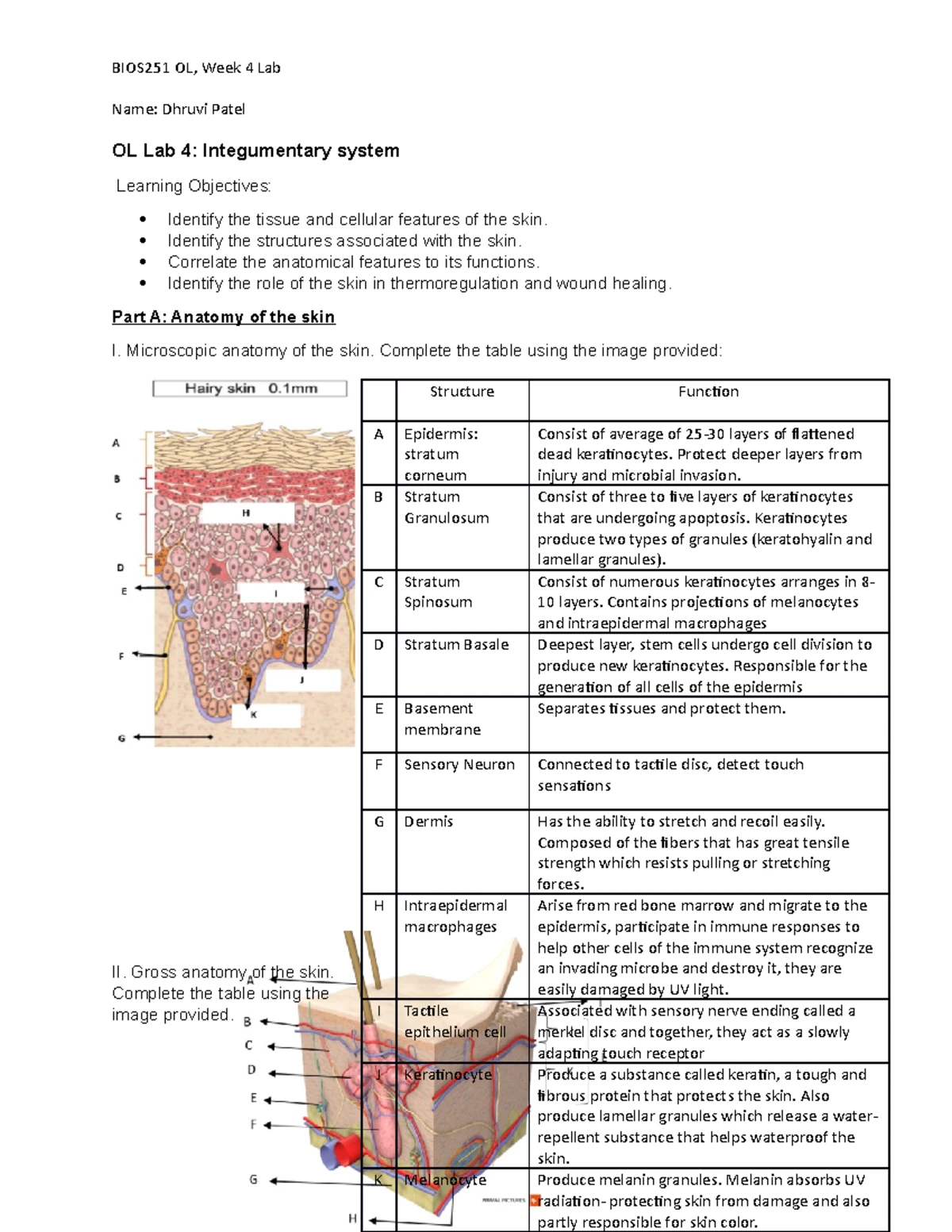 ATI The Neurological System Part 1 Test Study Guide - Studocu