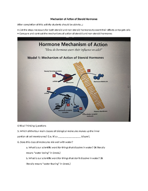 DNA-Profiling-Activity - DNA Profiling Using STRs DNA PROFILING USING ...