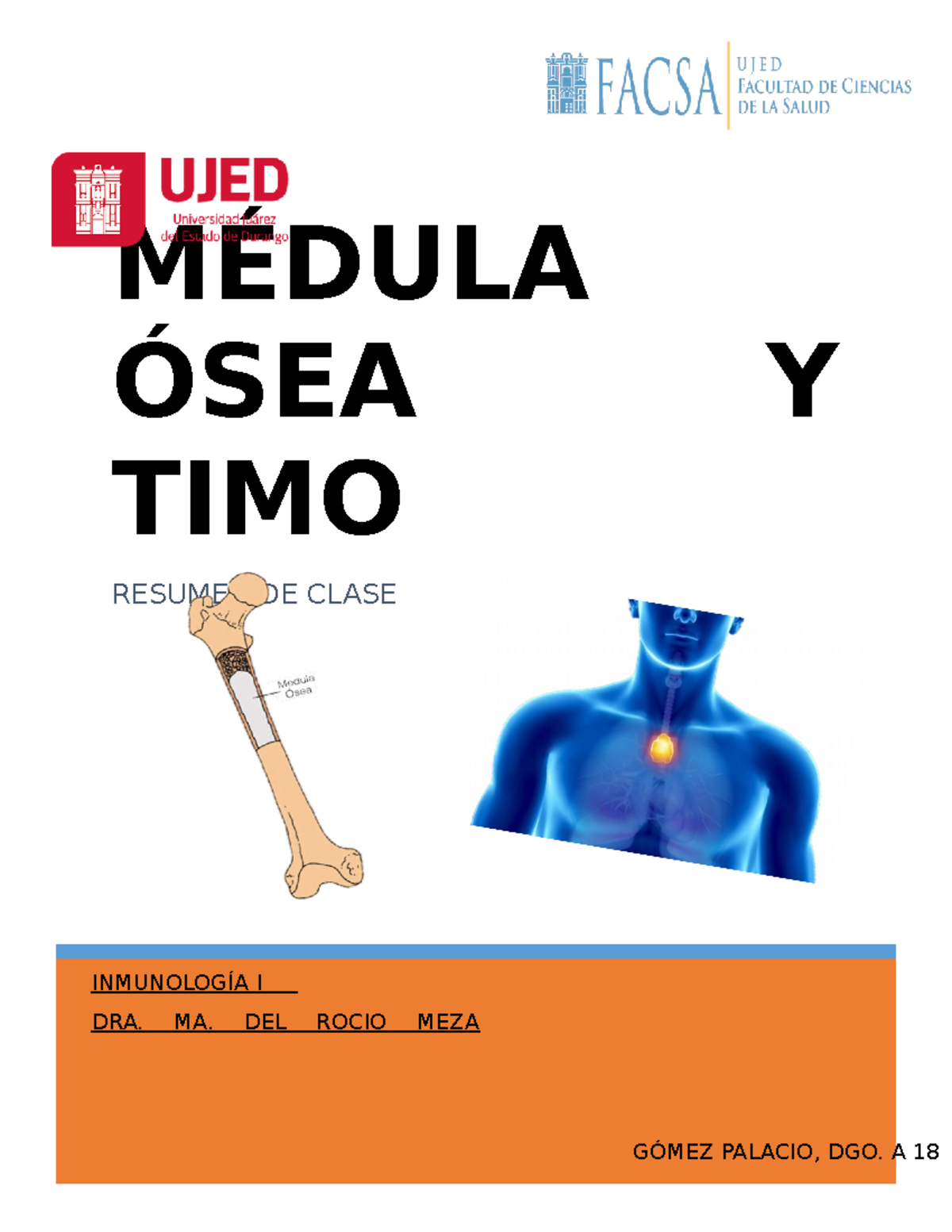 Resumen de Clase: Médula Ósea y Timo - Inmunología I - Studocu
