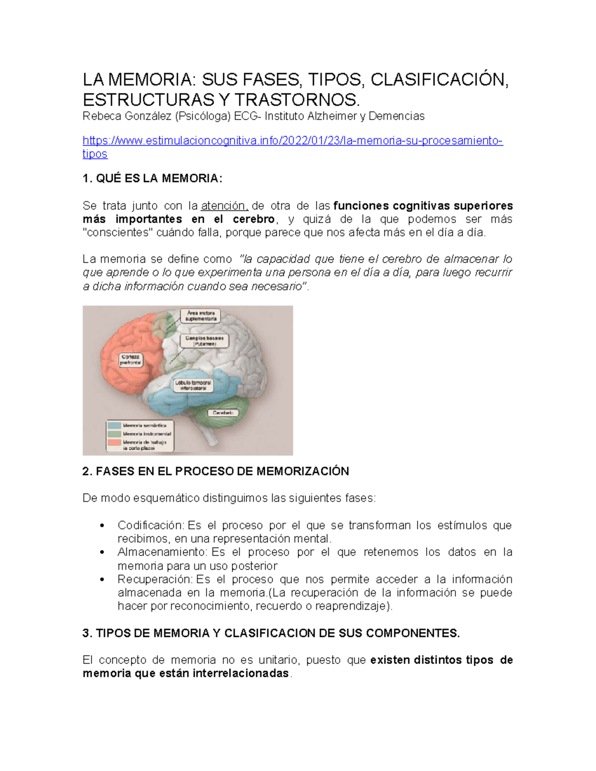 Memoria: Fases, Tipos y Clasificación (Psicología ECG) - Studocu