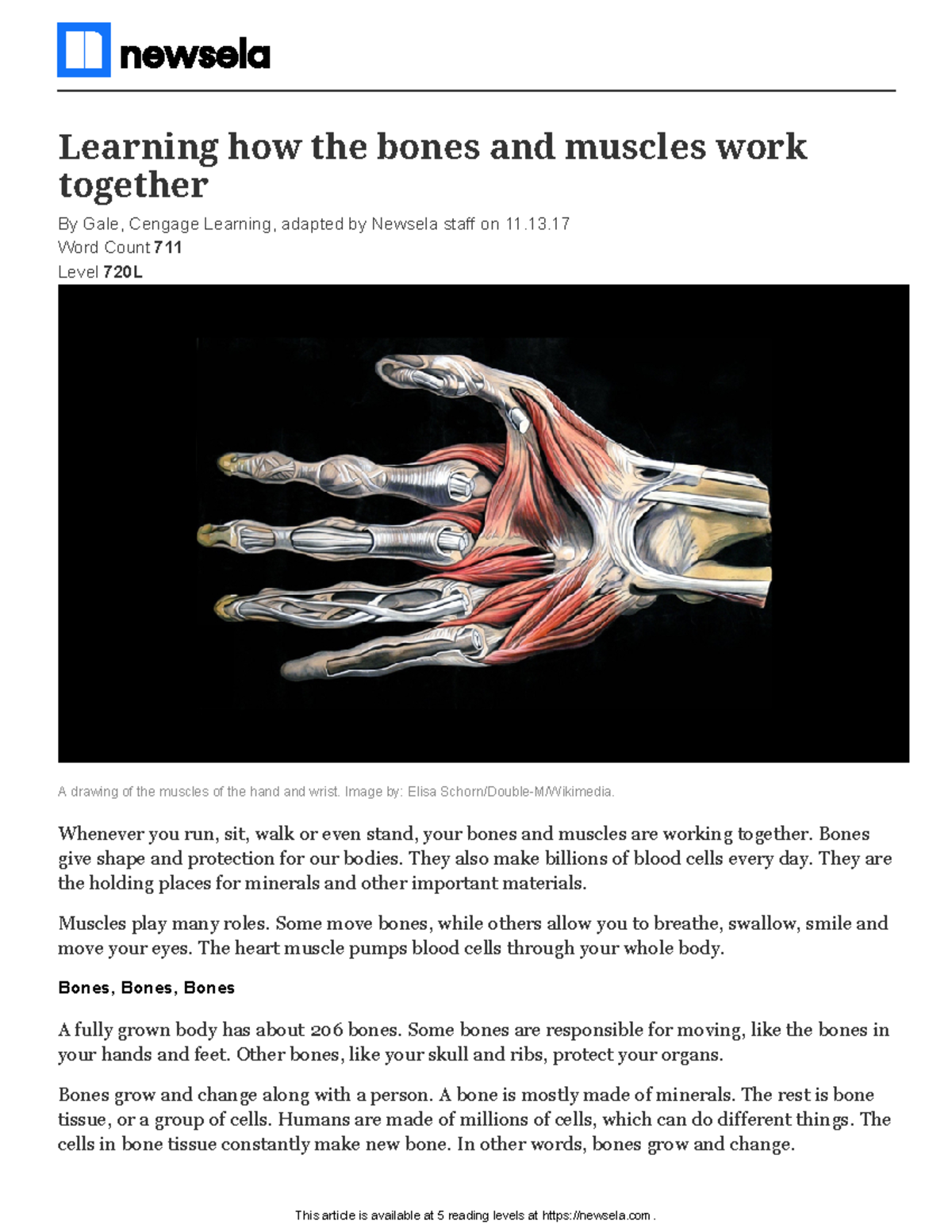 Learning how the bones and muscles work together - This article is ...
