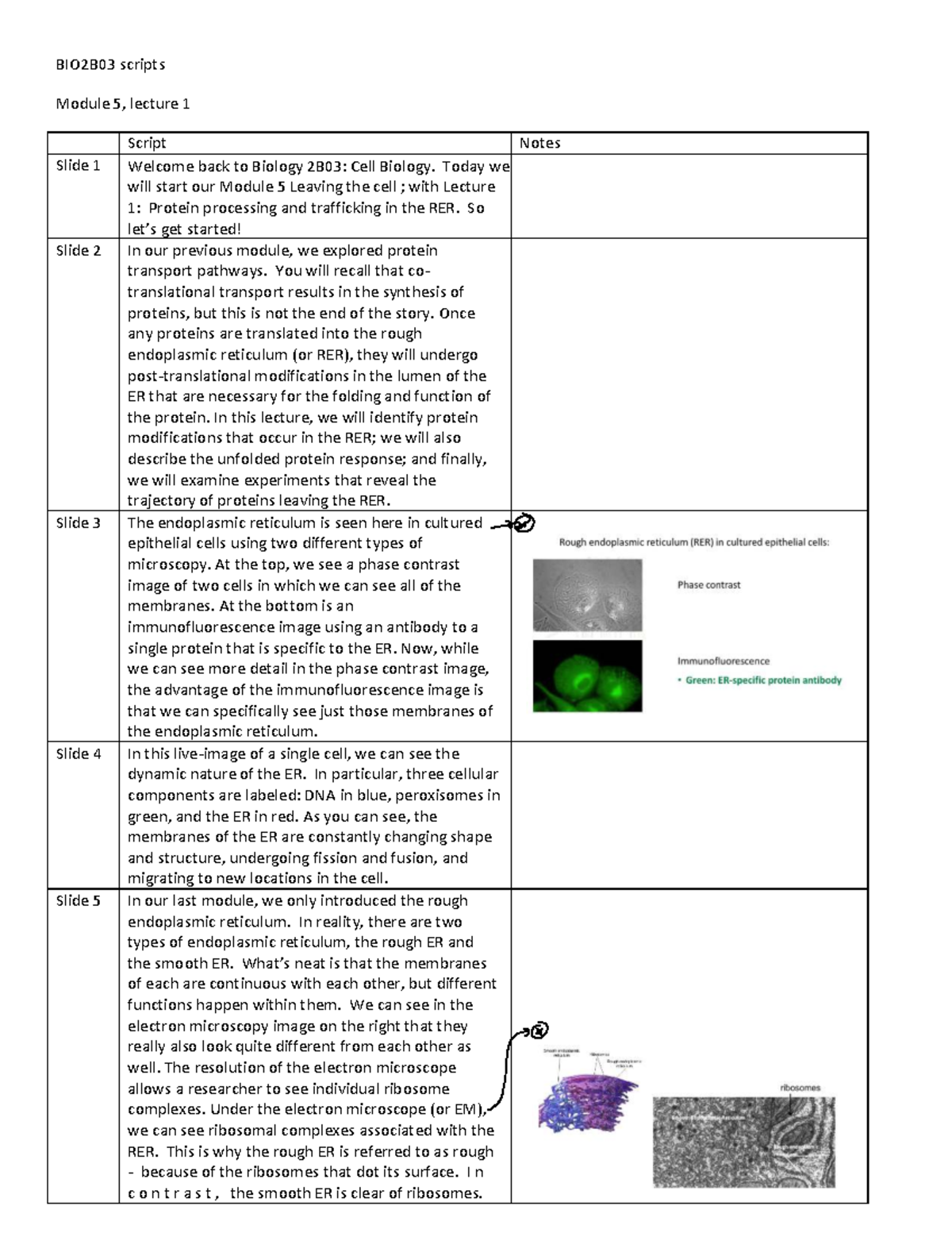 BIO2B03 Module 5 Lecture Notes: Protein Processing & Trafficking - Studocu