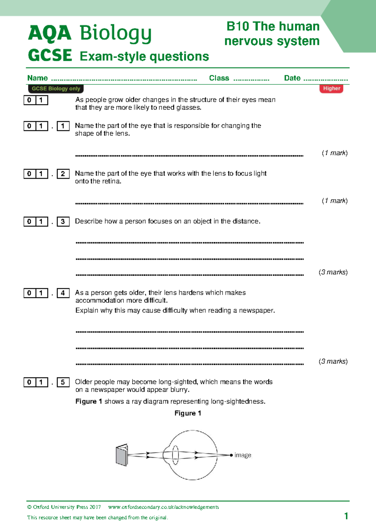 B10 Human Nervous System: Exam Questions and Answers Guide - Studocu