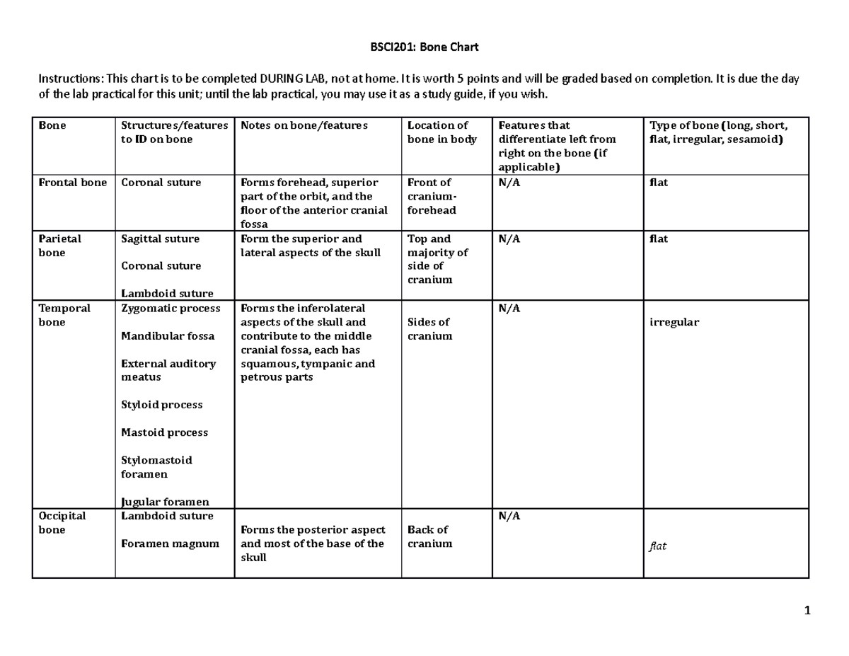 BSCI201: Bone Chart Instructions - Studocu