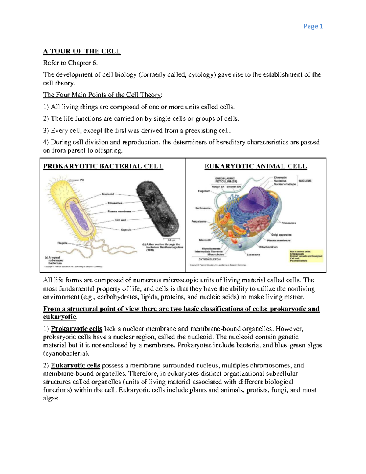 Cell Biology Overview: Eukaryotic & Prokaryotic Cells (Chapter 6) - Studocu