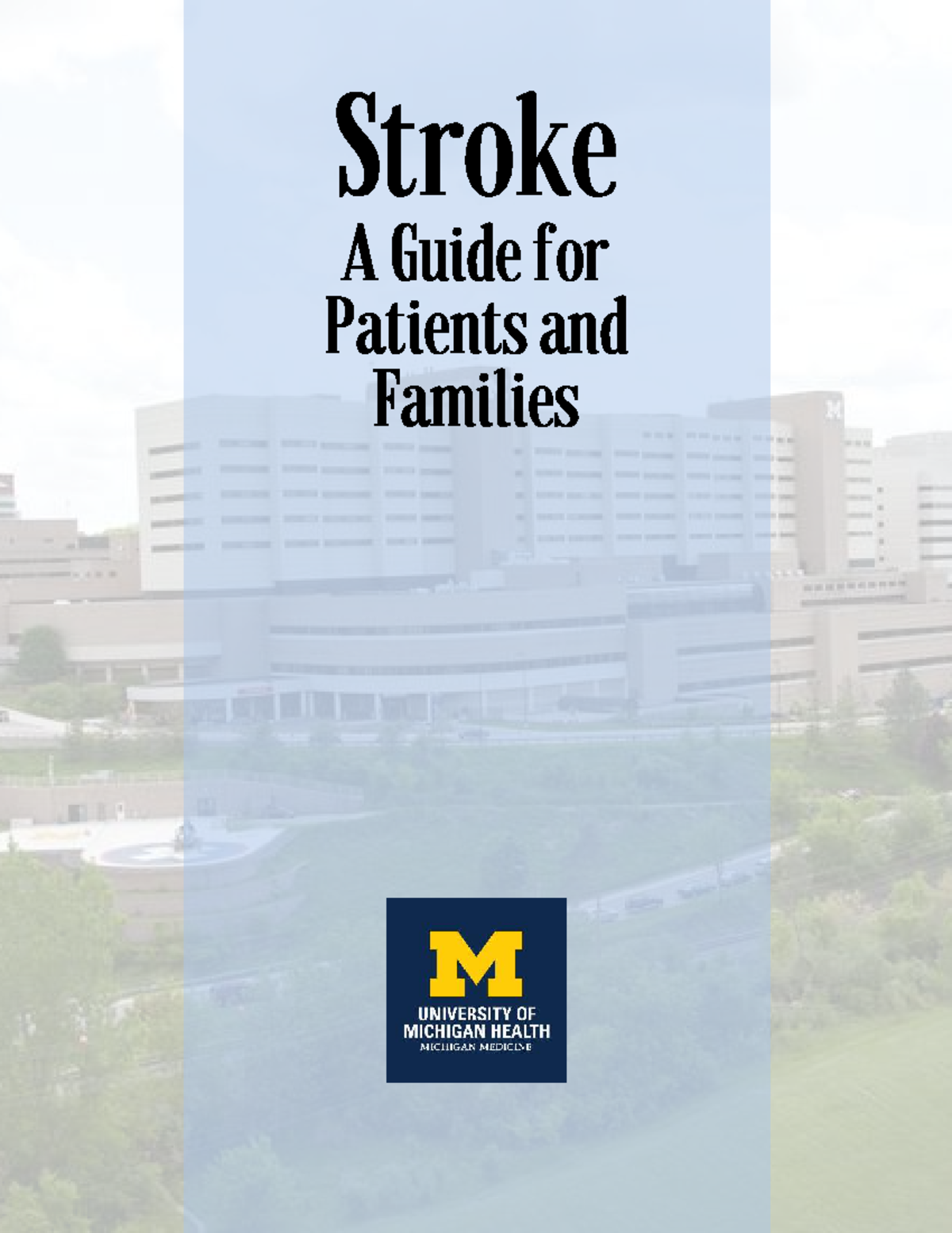 Stroke: A Comprehensive Guide for Patients & Families (UM Health) - Studocu