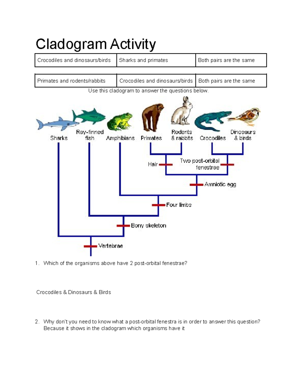 C190.v3 Module 21 Cladogram Activity: Understanding Organism Traits ...