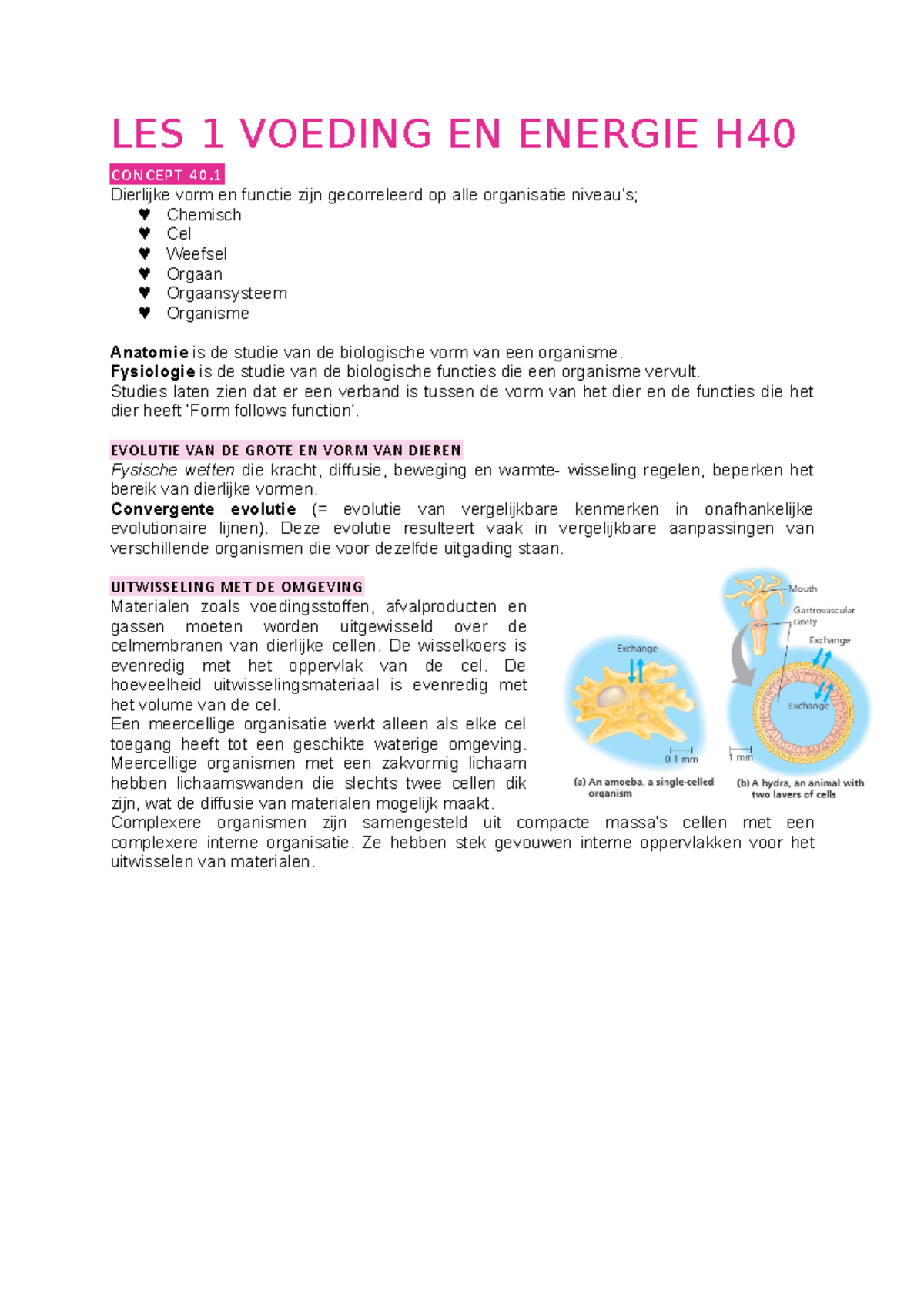 Les 1 - Samenvatting van Voeding en Energie in Dieren - Studeersnel