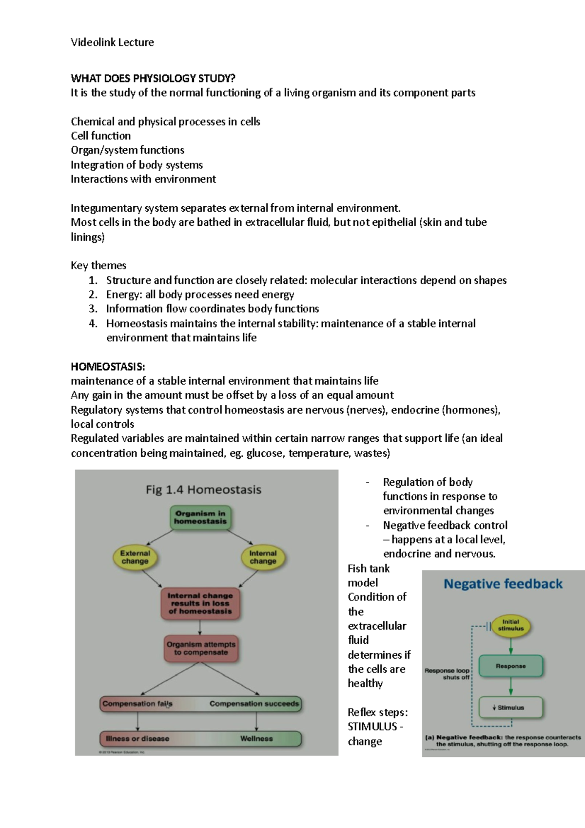 Physiology: Introduction to Key Concepts and Homeostasis - Lecture ...