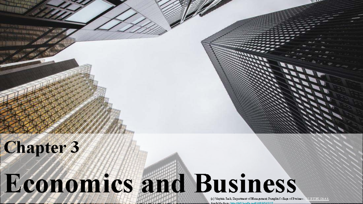 Chapter 3: Economic Principles of Capitalism and Socialism (MGMT 101 ...