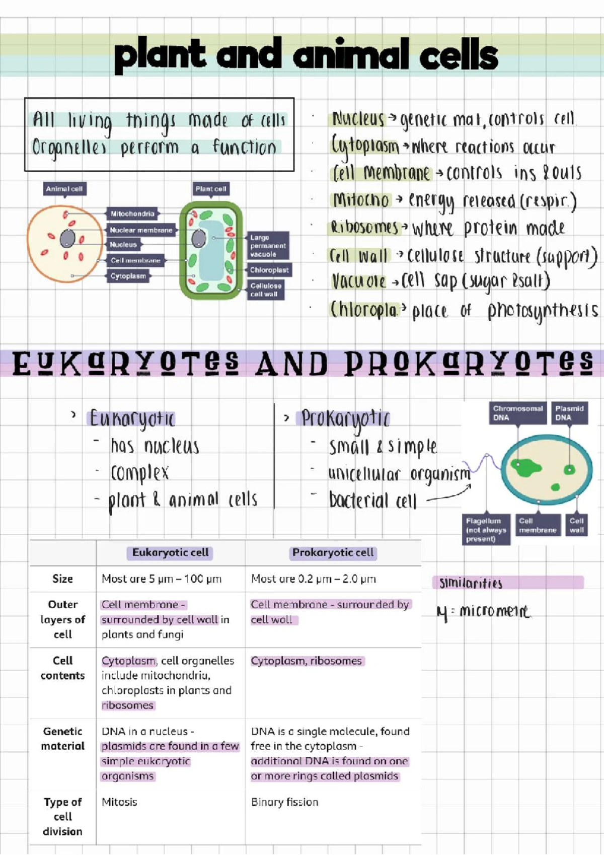 Cell Biology - notes - AQA GCSE Combined Science Biology Topic 1 Cell ...
