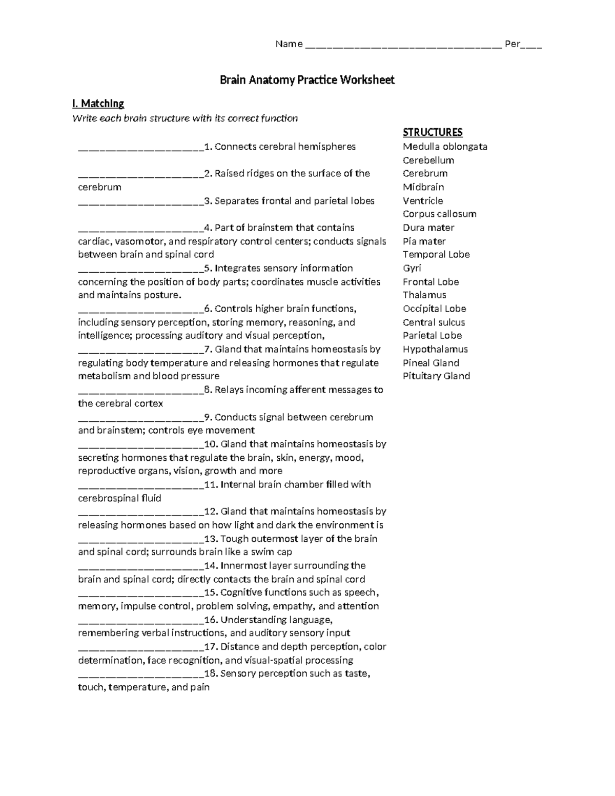 Brain Anatomy Practice Worksheet I: Structure-Function Matching - Studocu