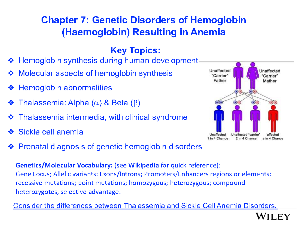 Biol480 Chapter 7: Genetics of Hemoglobin Disorders and Anemia - Studocu