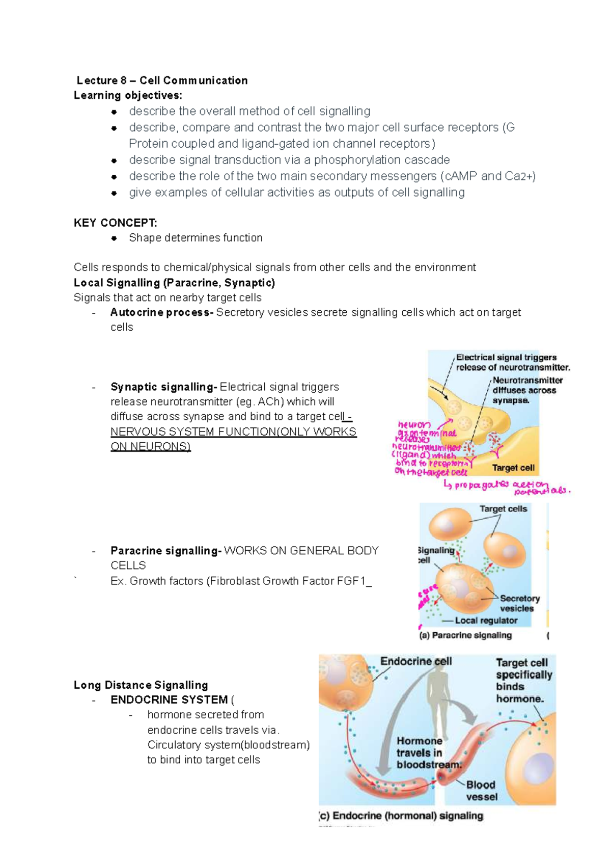 Biosci- Lecture 8 Cell Communication - Lecture 8 – Cell Communication ...